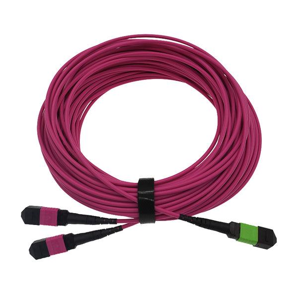 MPO-16/APC to 2xMPO-12/UPC OM4 MMF 16 Fibers Breakout Cable Type-B Pol ...